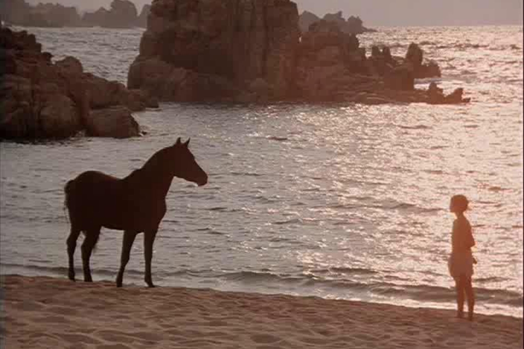 Films for families: The top 50 movies to watch as a family