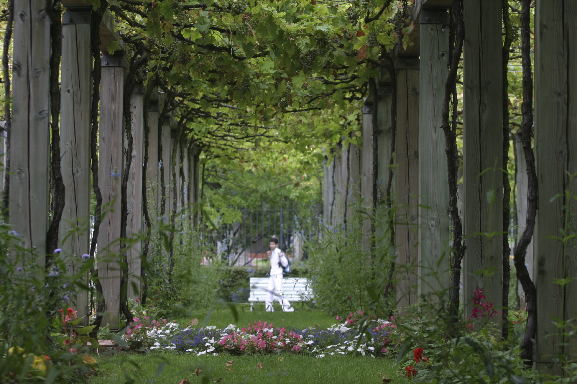 Parc de Bercy | in Bercy, Paris