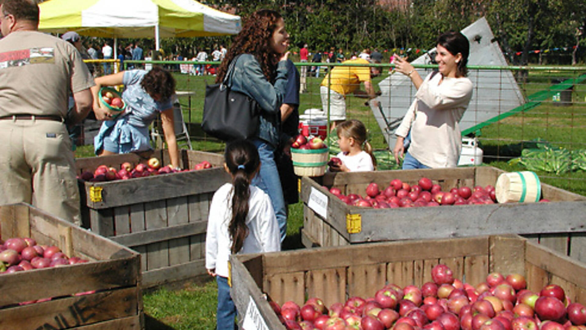 101 things to do in New York City in the fall