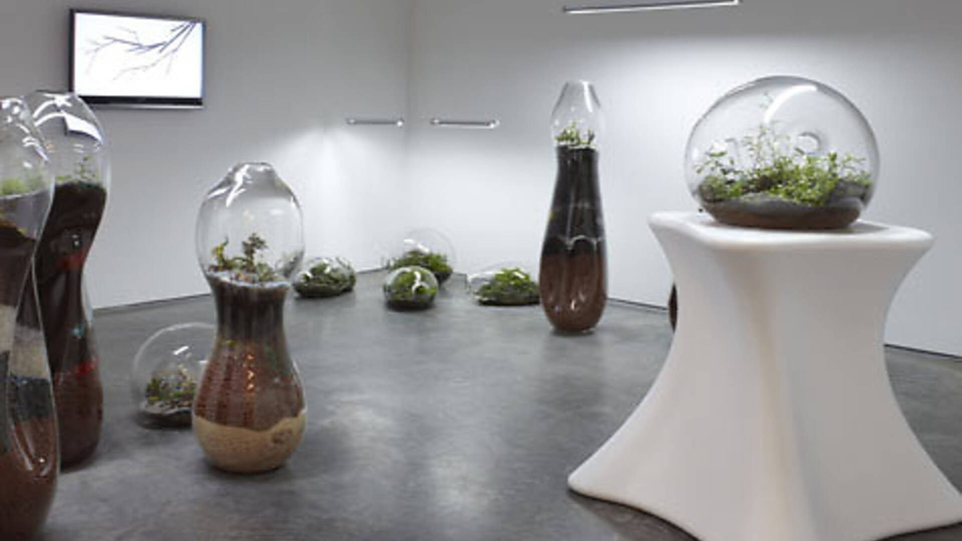 14 best galleries in NYC to visit
