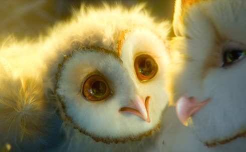 Legend of the Guardians: The Owls of the Ga'Hoole 2010, directed by ...