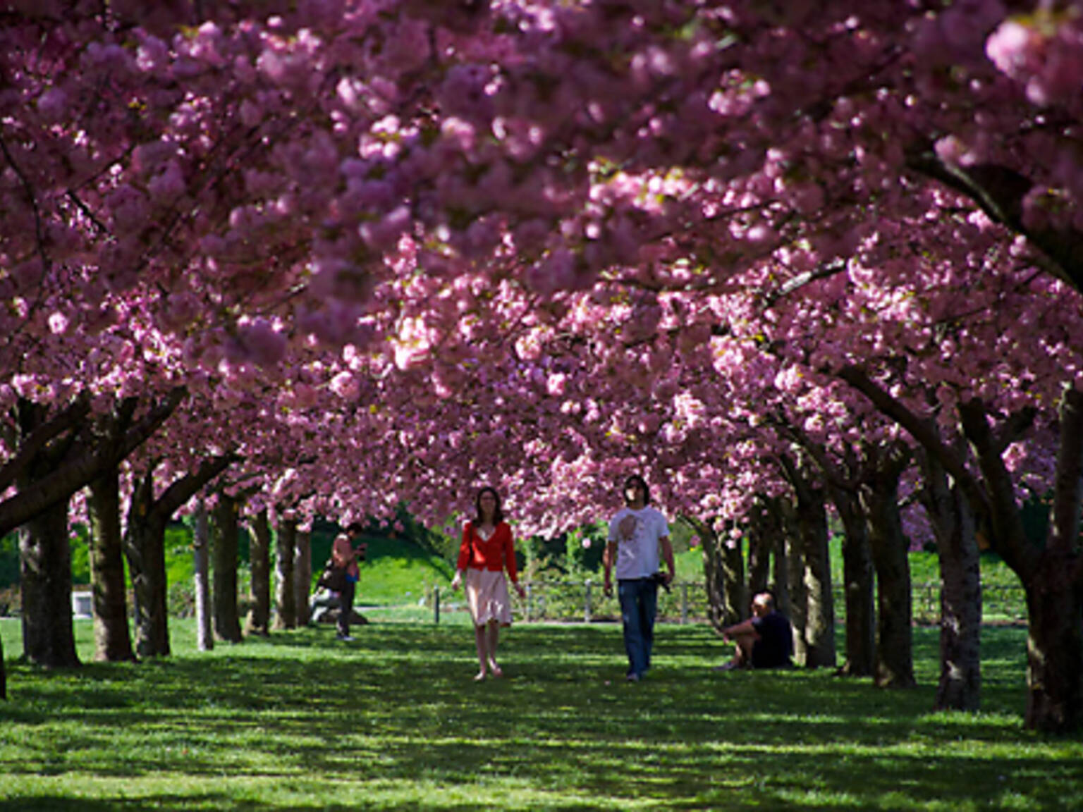 101 things to do in New York City in the spring