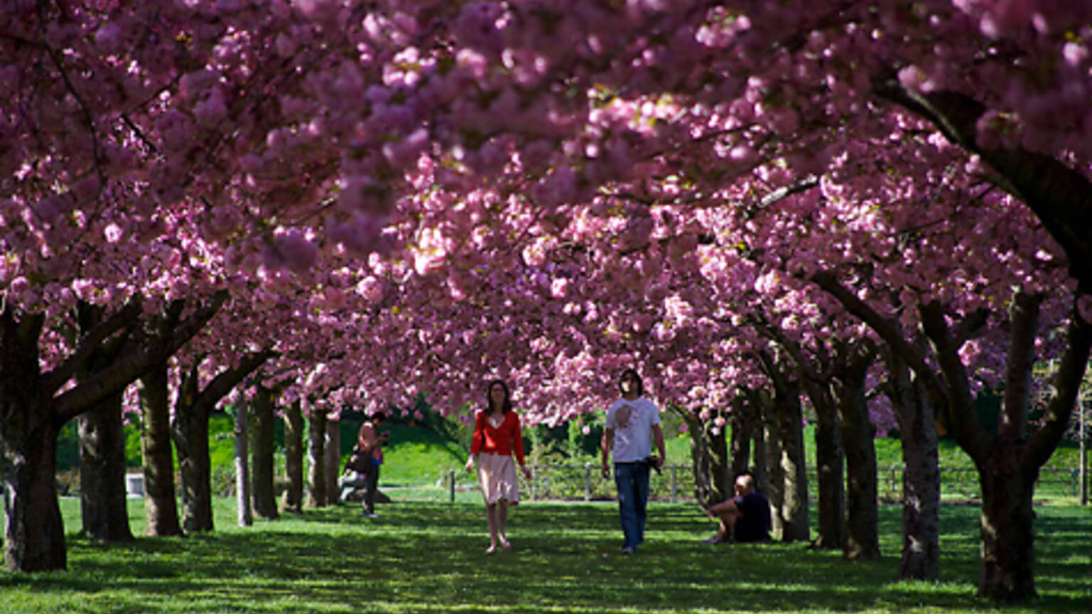 101 things to do in New York City in the spring