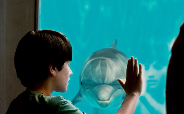 Dolphin Tale | Film review