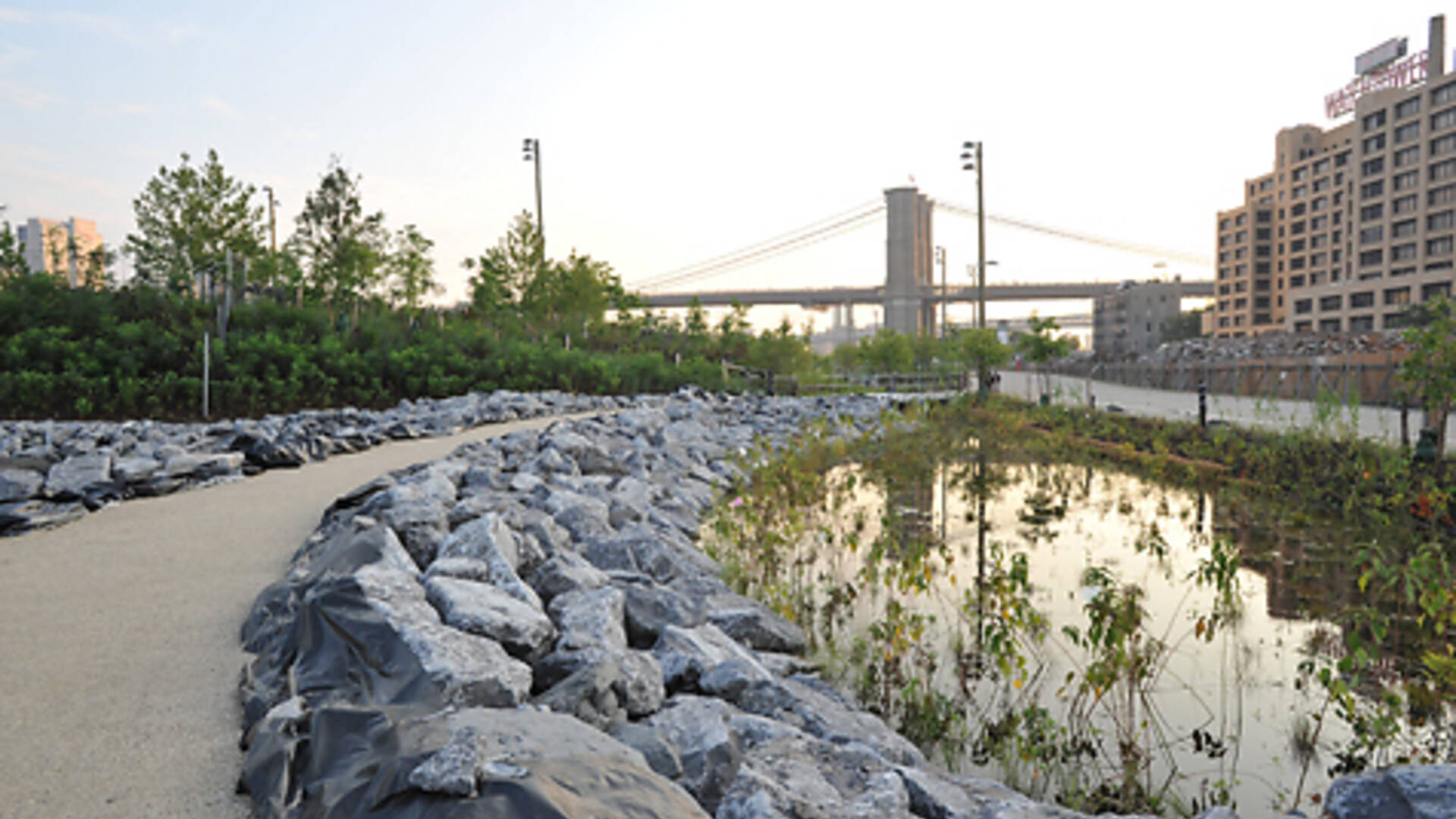 10 Best Bike Routes in NYC According to Cyclists