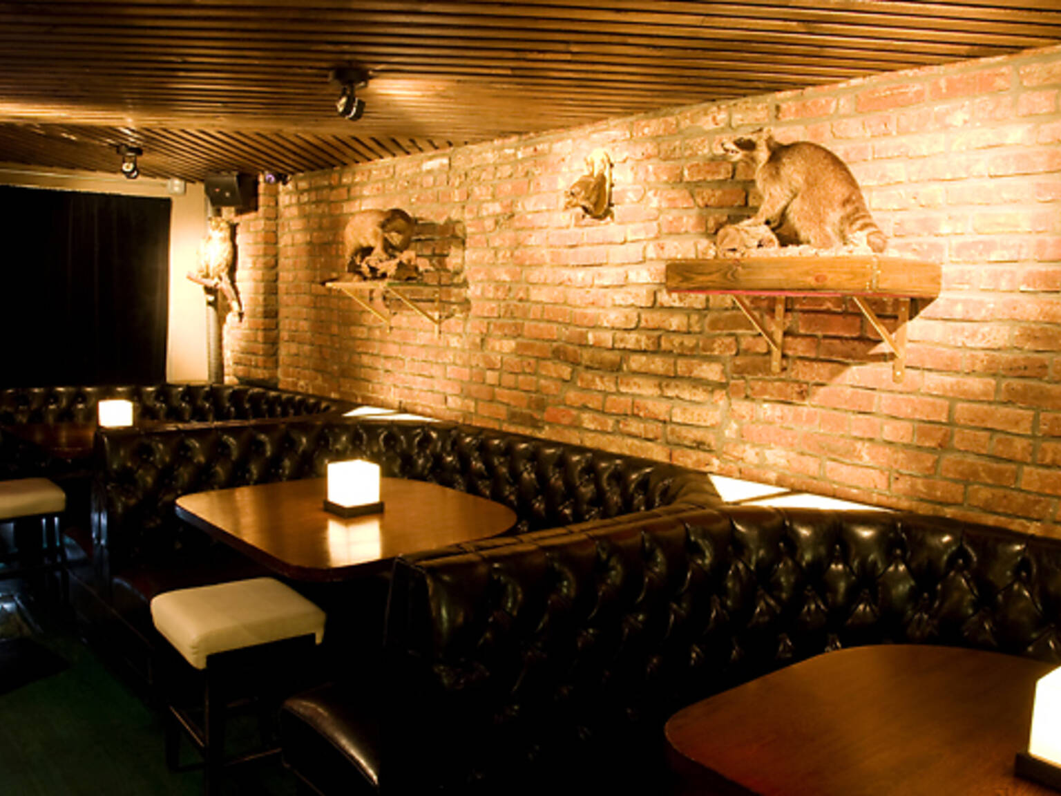 NYC’s best basement bars to beat the heat this summer