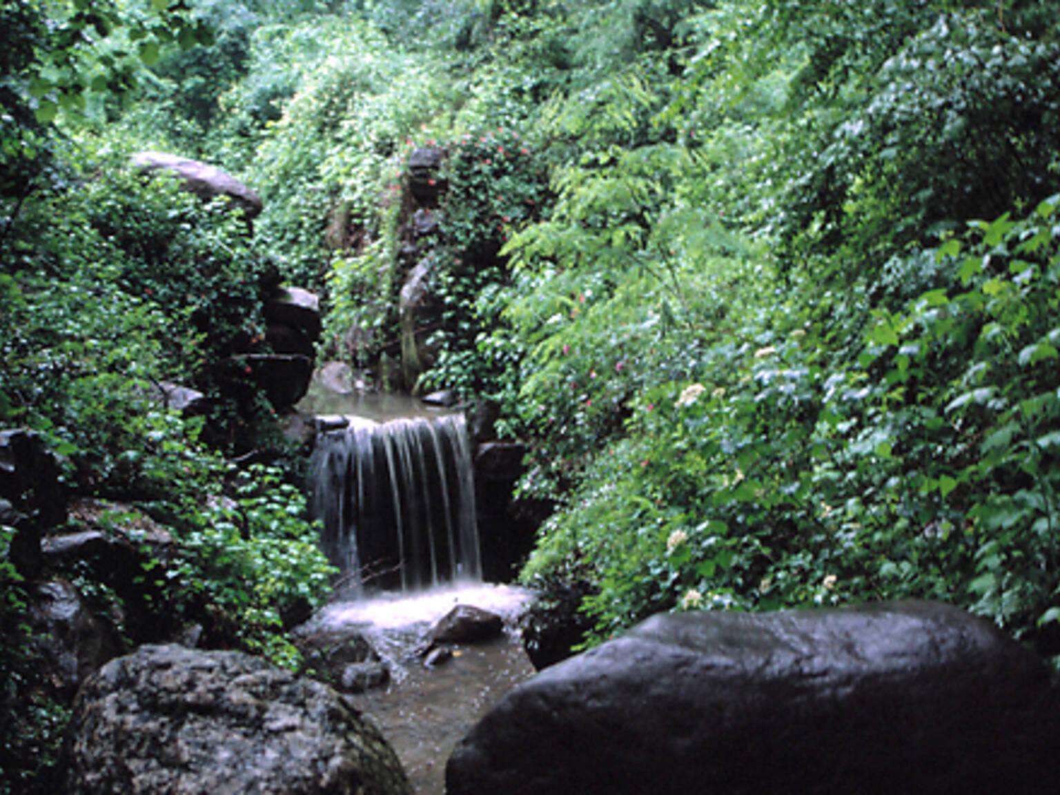 Eight things you must do in Prospect Park, Brooklyn