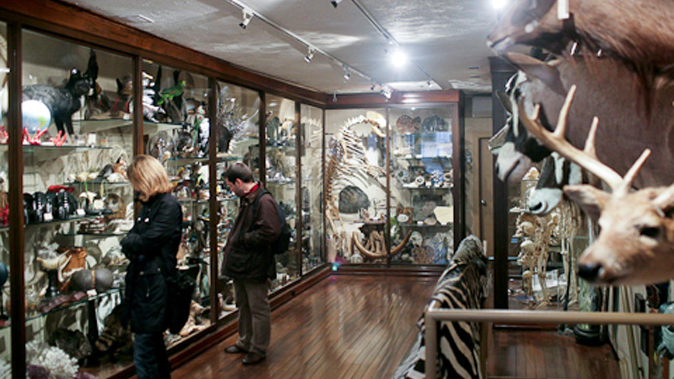 The Evolution Store | Shopping in Greenwich Village, New York