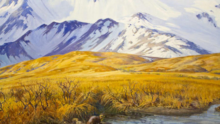 Behind the scenes at the American Museum of Natural History