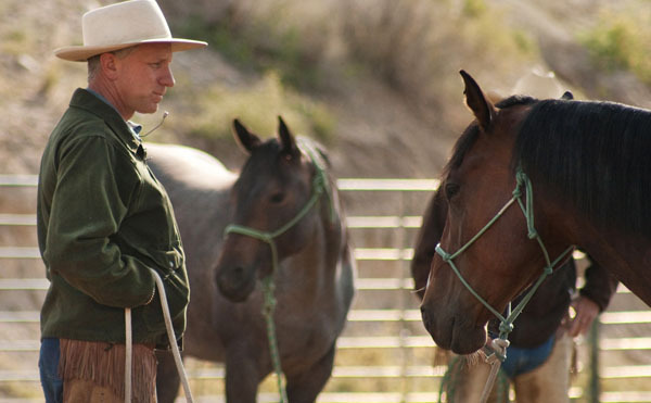 Buck 2012, directed by Cindy Meehl | Film review