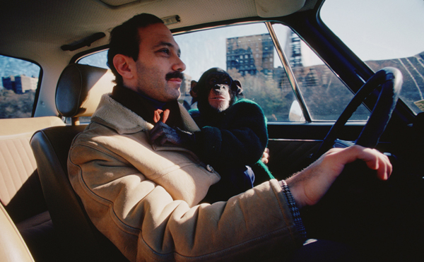 Project Nim 2011, directed by James Marsh | Film review