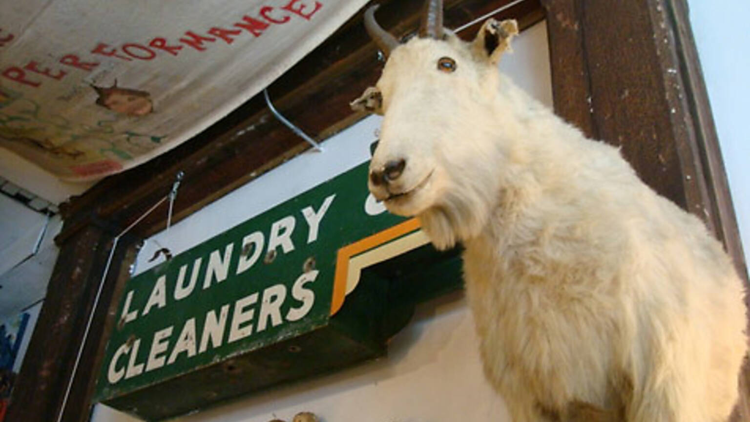 Best vintage furniture shops