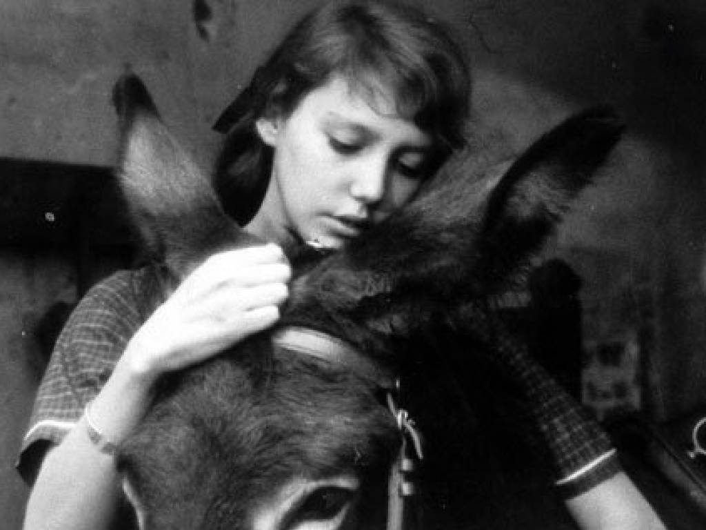 50 Best Foreign Films of All Time That You Need to Watch