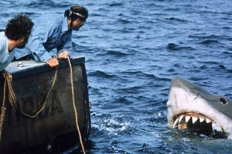Jaws on the Water | Things to do in Austin