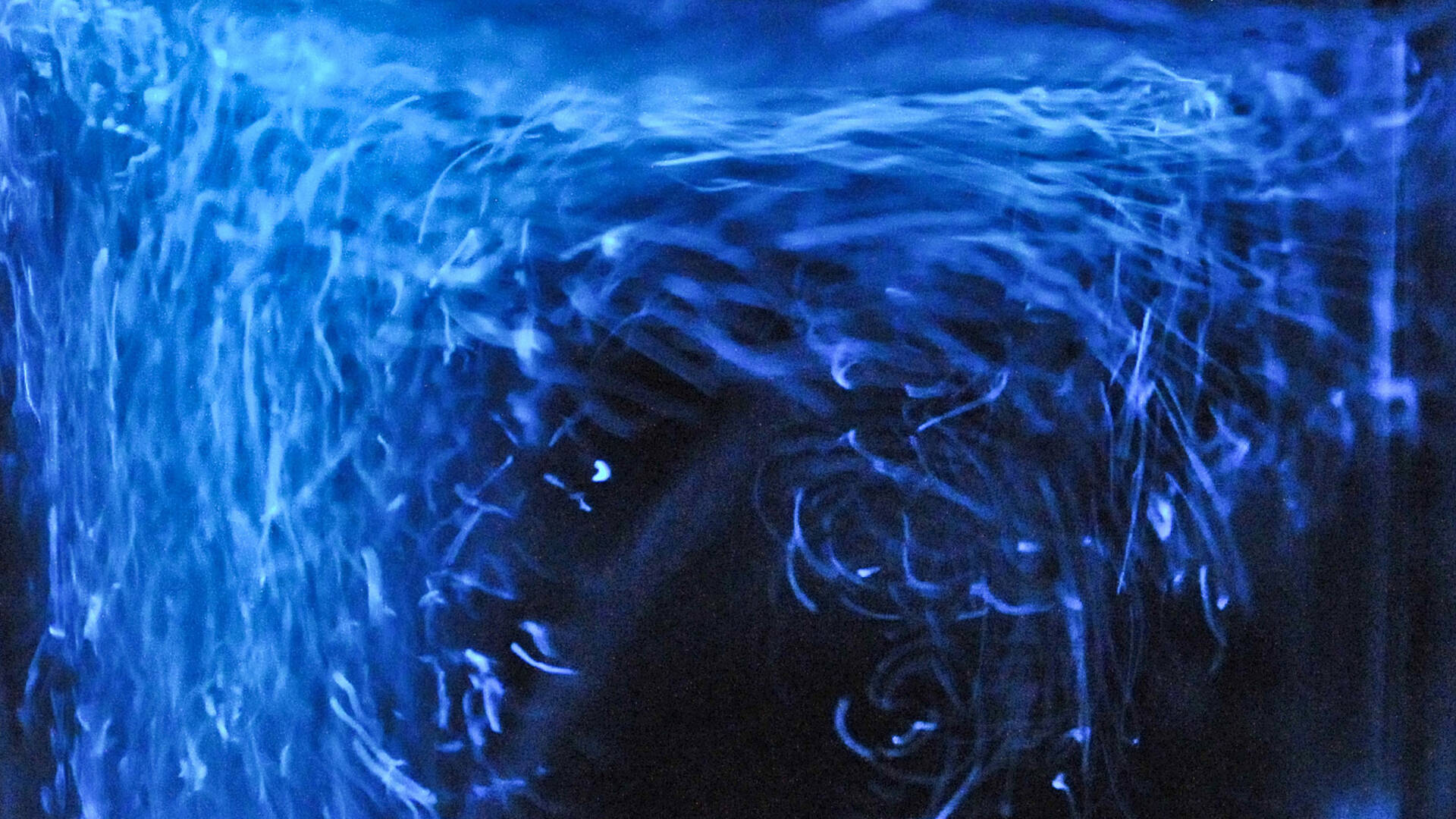 “Creatures of Light: Nature’s Bioluminescence”