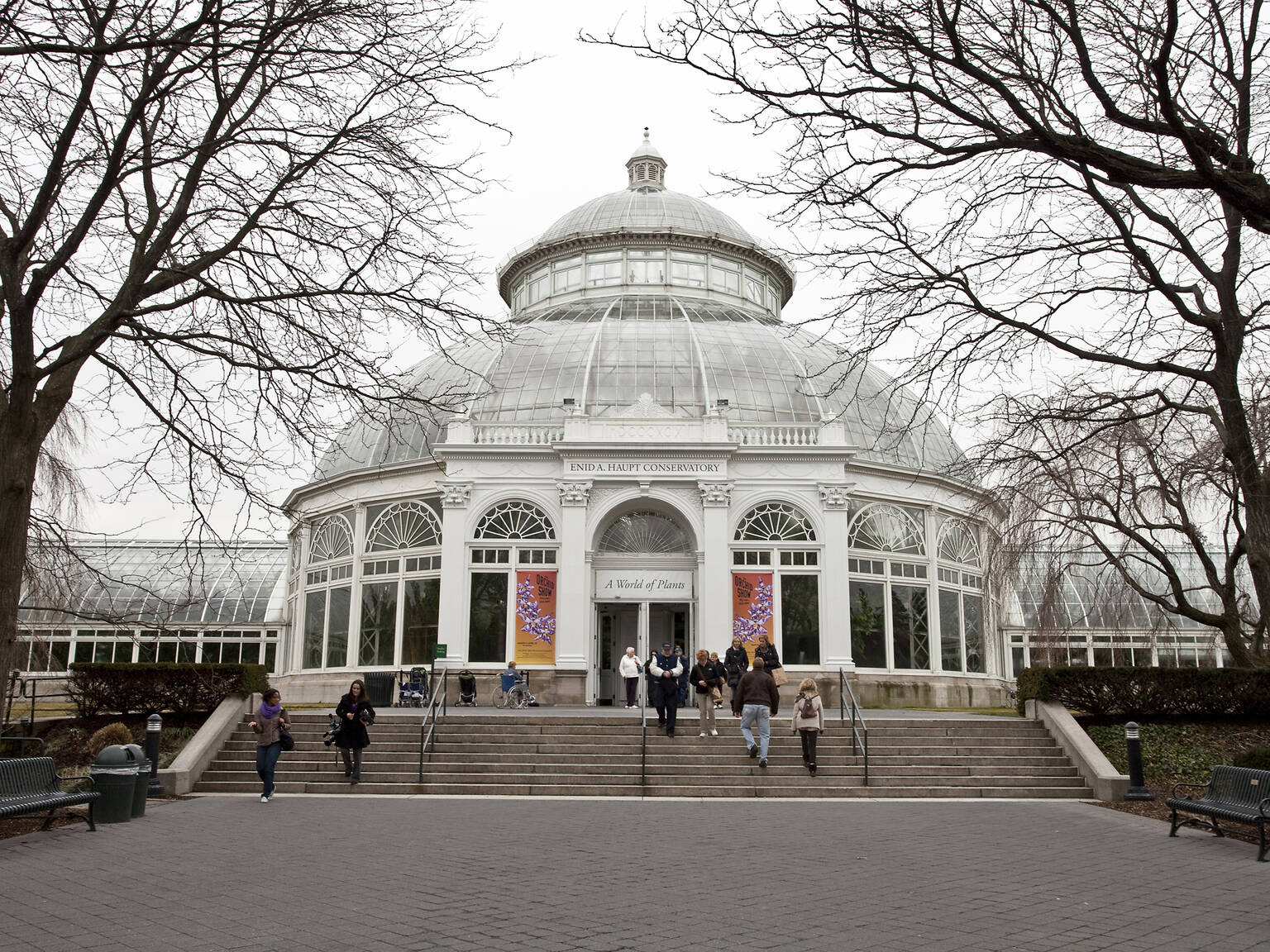 100 Things to Do in NYC for Under $100