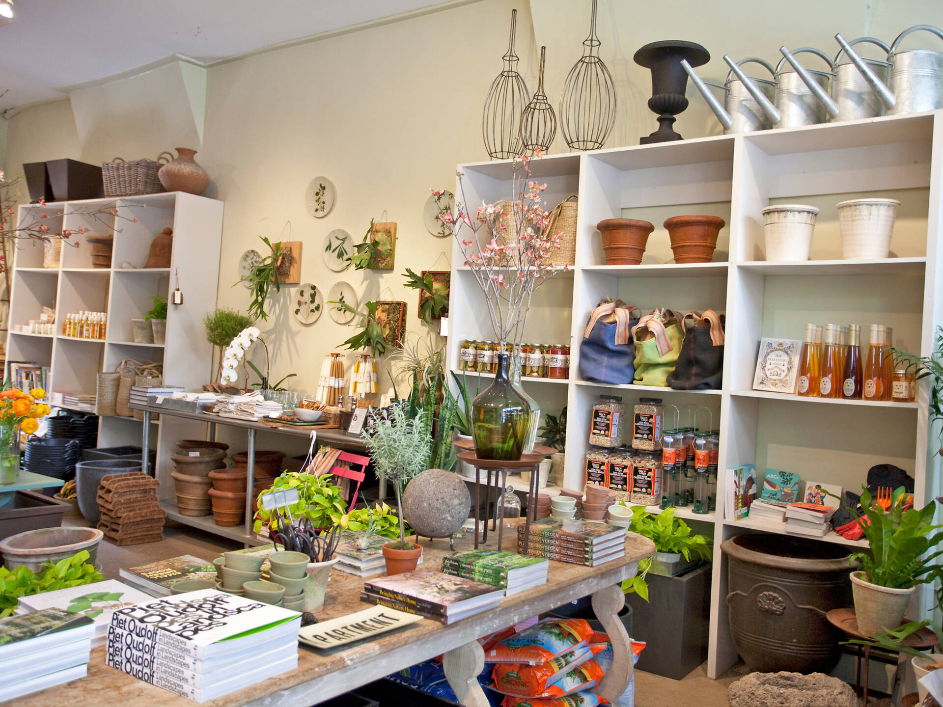 Best Plant Stores NYC Offers To Create An Indoor Jungle