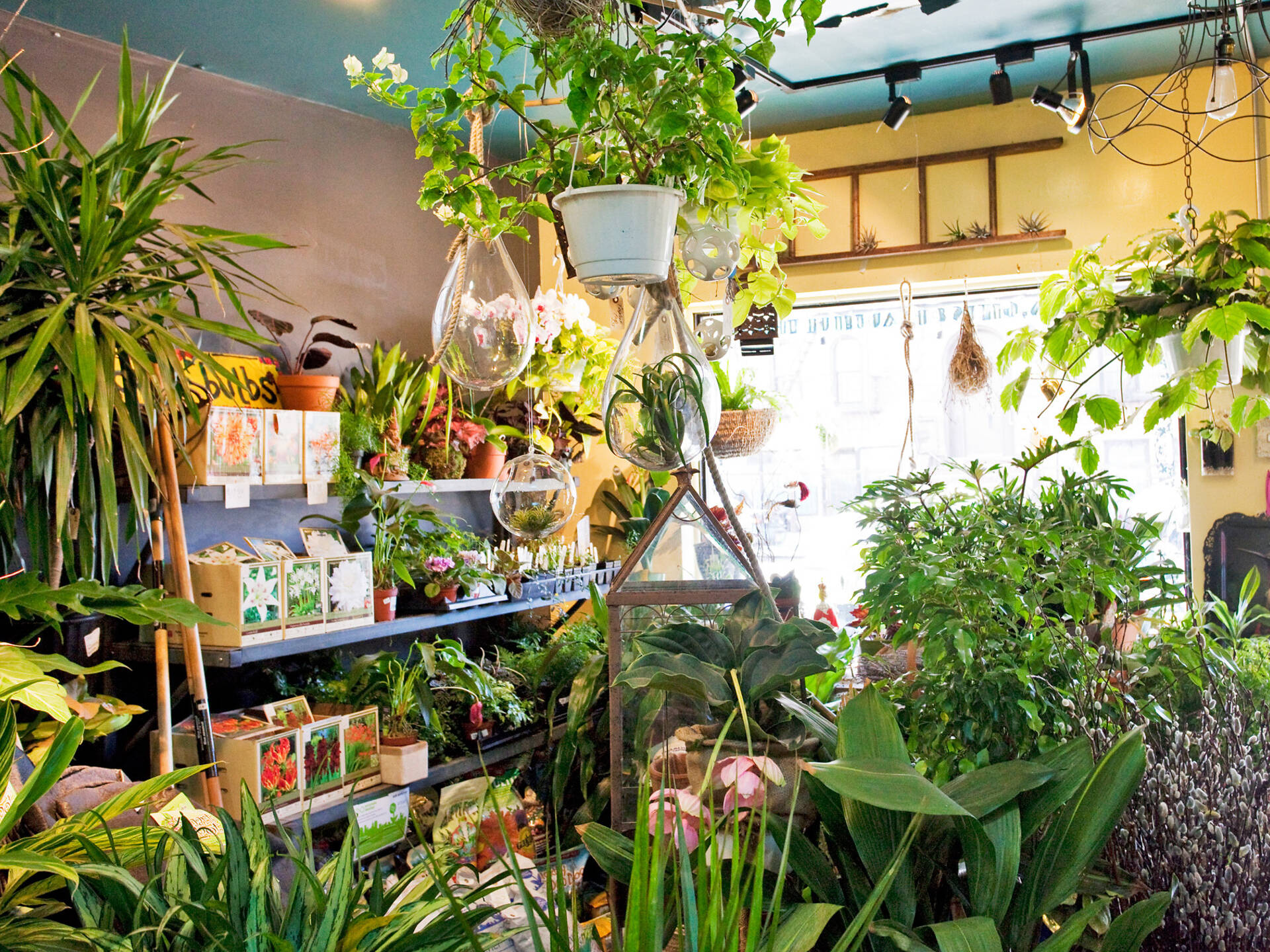 Best Williamsburg shops for vintage, design, music and more