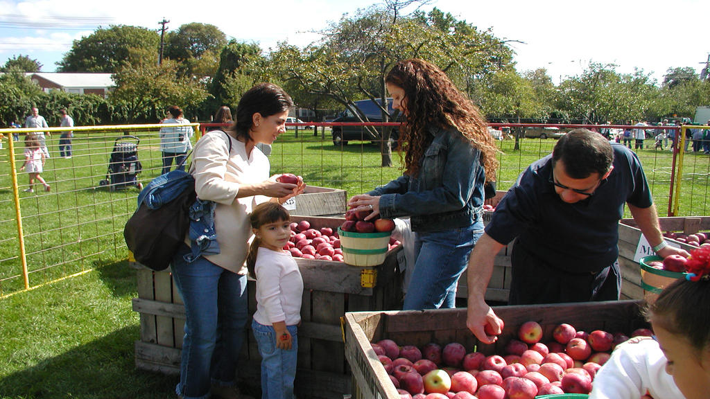 Queens County Farm Museum | Museums in Queens, New York
