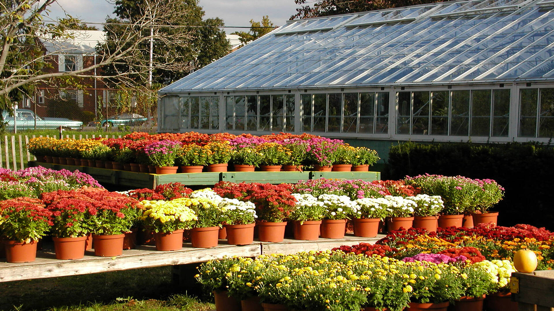 Queens County Farm Museum | Museums in Queens, New York