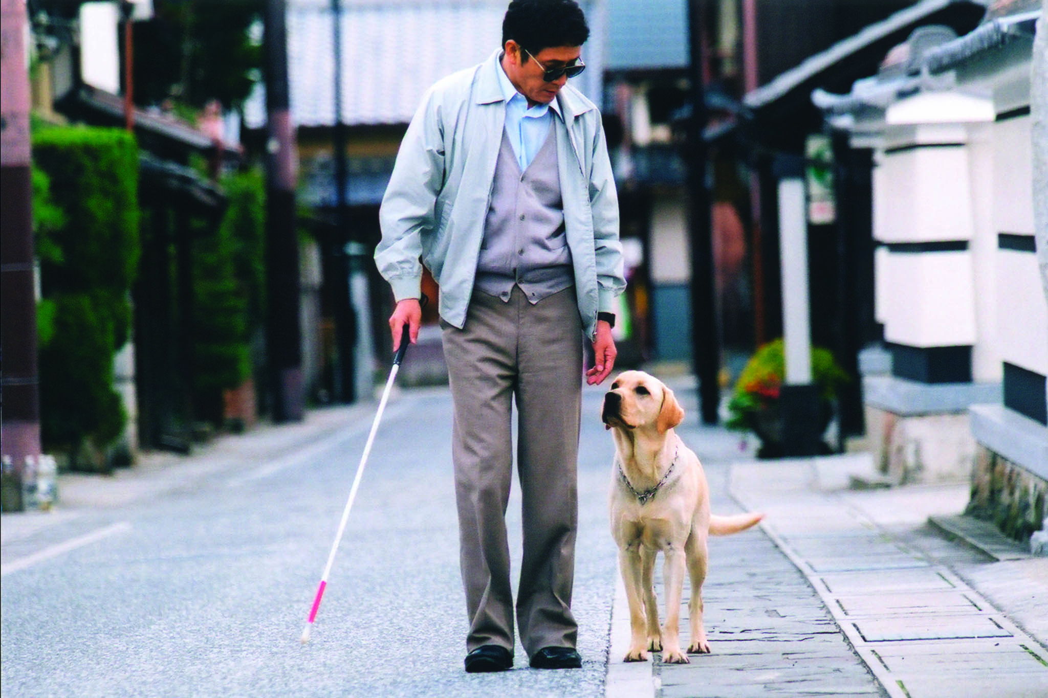 Quill: The Life of a Guide Dog | Film review