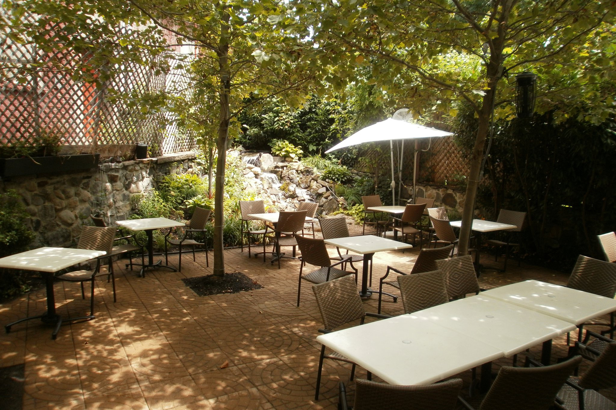 Piquant | Restaurants in Prospect Heights, New York