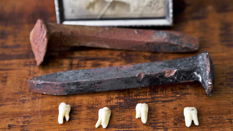 Apartment tour: 3BR in Brooklyn Heights