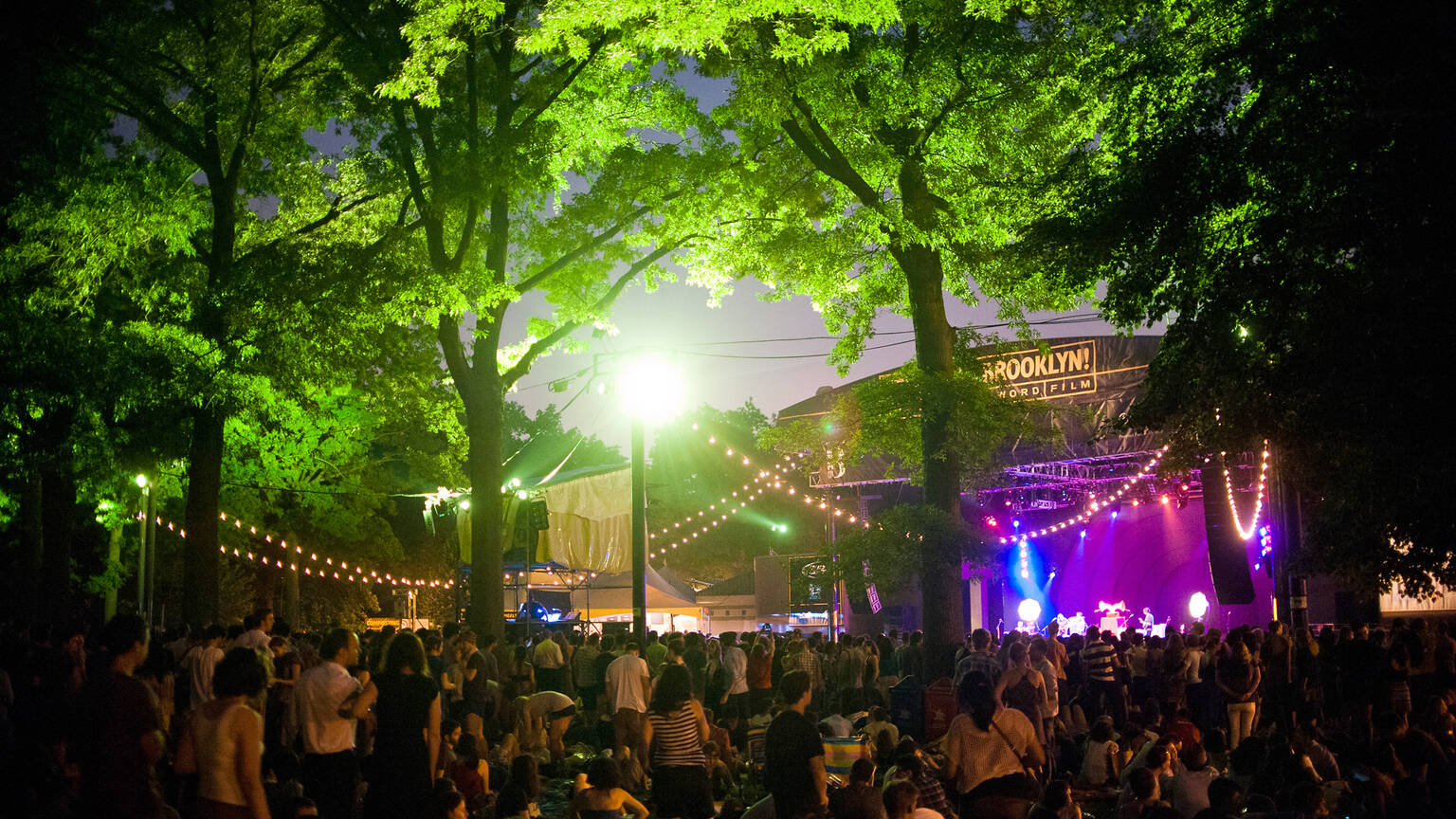 14 Best Live Music Venues in New York City