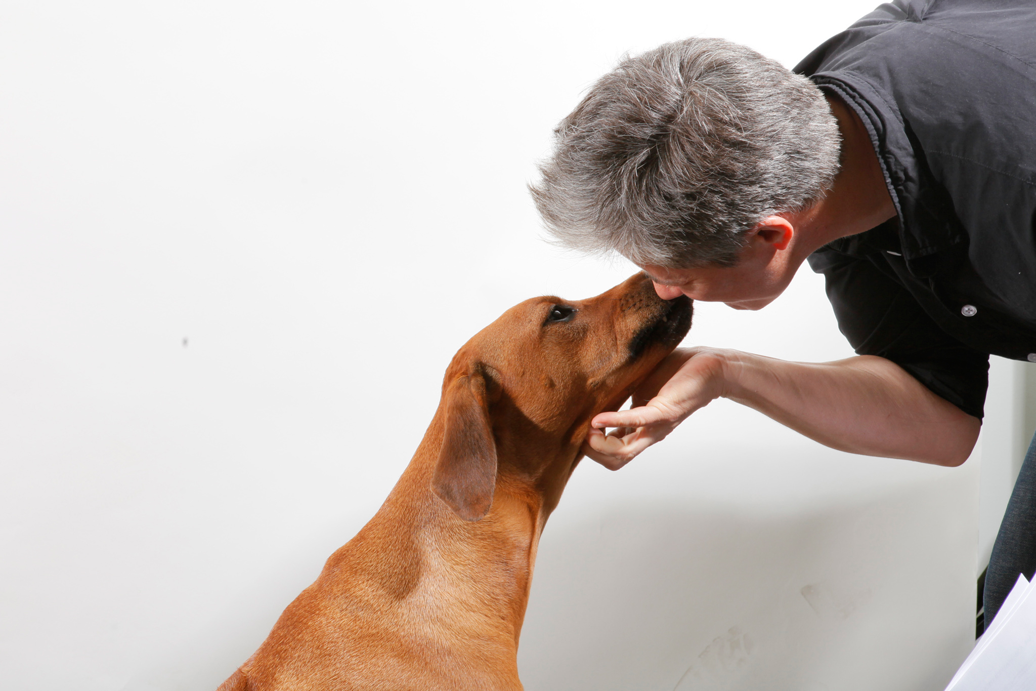 Bring your dog to work…and photograph it! (SLIDE SHOW)