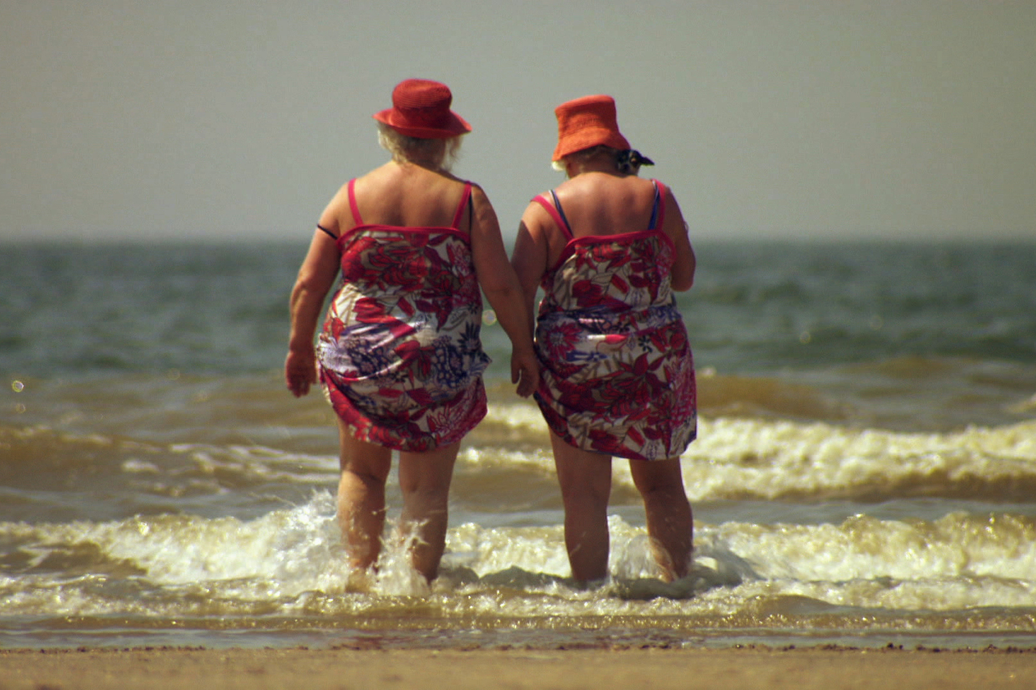 Meet the Fokkens | Film review