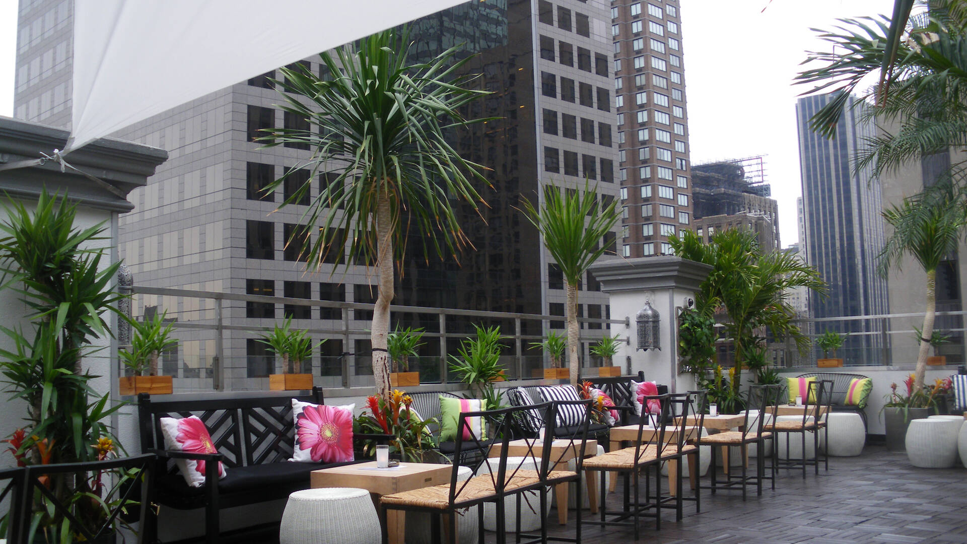 Ava Lounge | Bars in Midtown West, New York