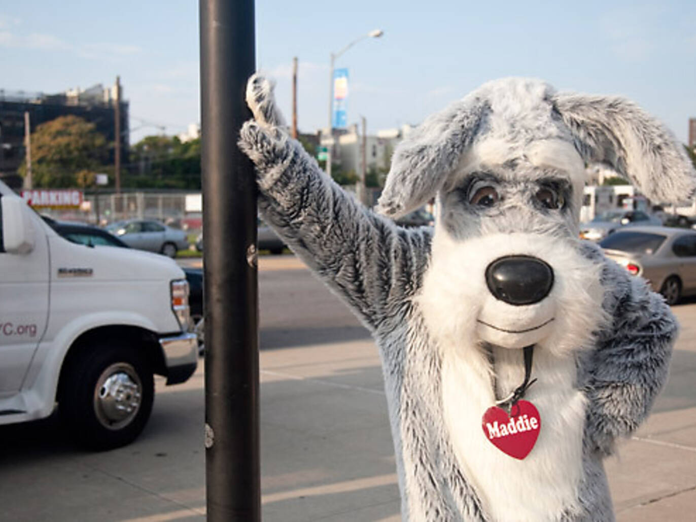 Bark in the Park with the Brooklyn Cyclones (SLIDE SHOW)