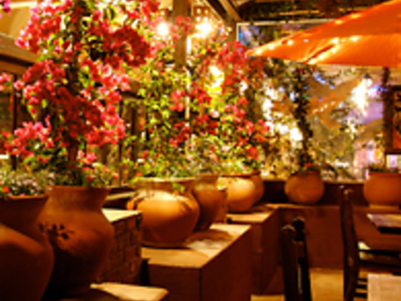 Best bars and restaurants in Redondo Beach