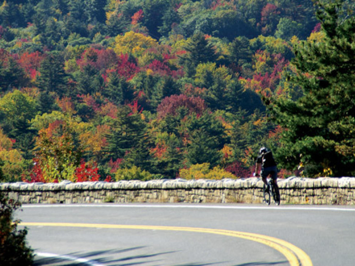 Where to See Fall Foliage in NYC this Autumn