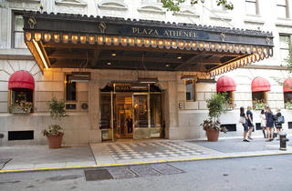 Bar Seine | Bars in Lenox Hill, New York