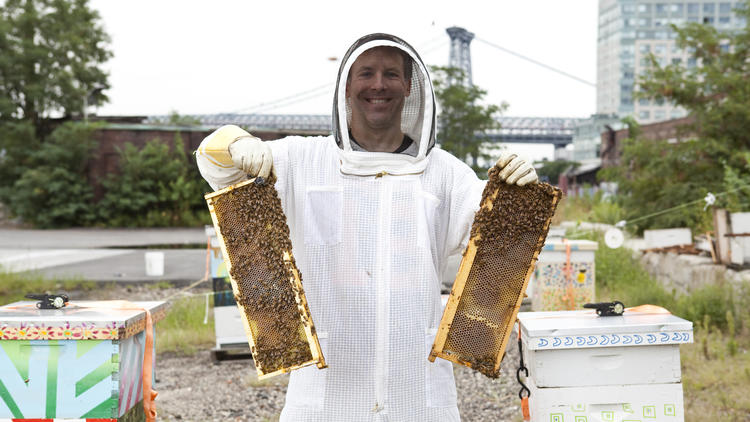 Local honey: How it's made, from hive to jar