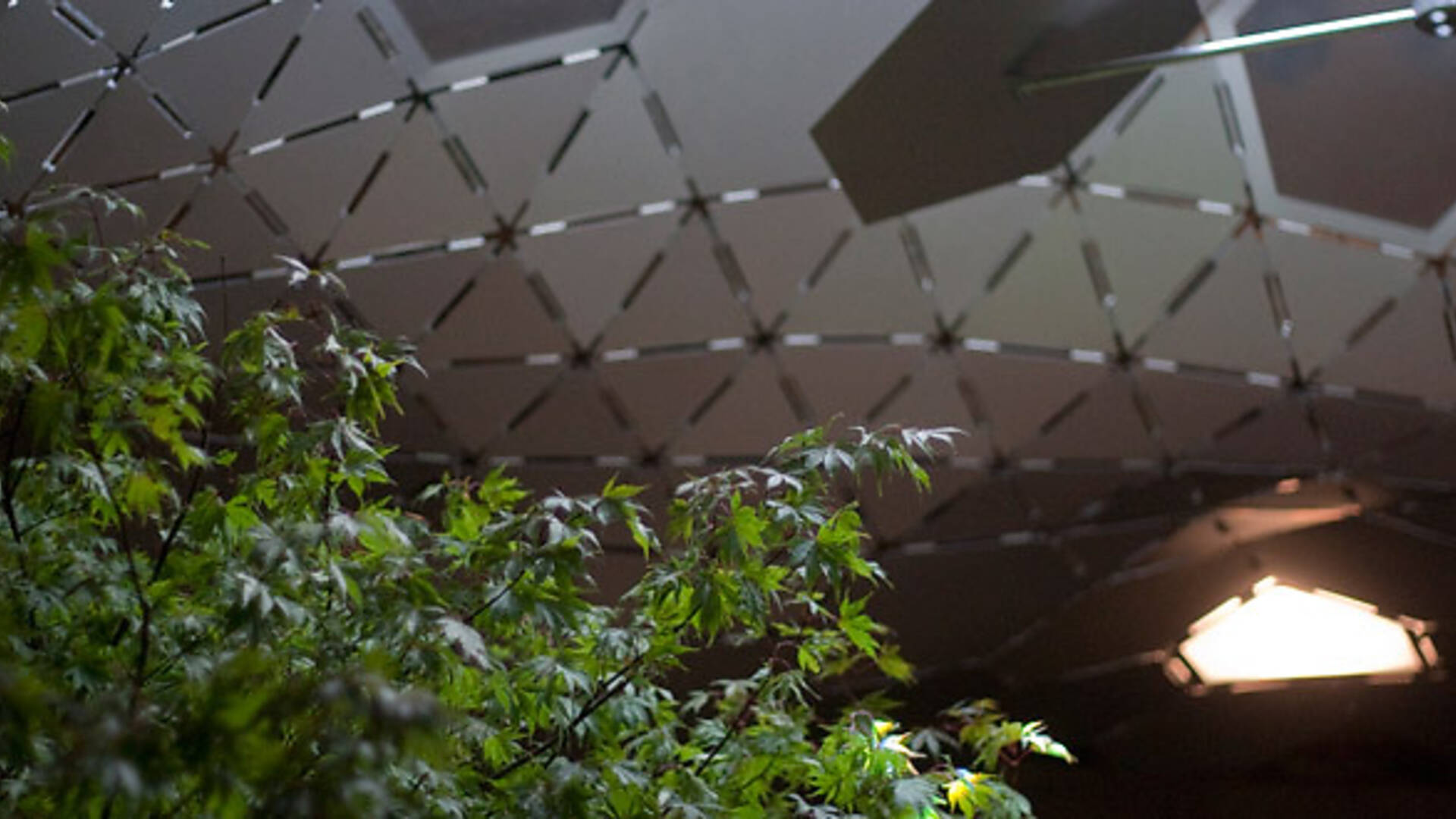 "Imagining the Lowline" preview (SLIDE SHOW)