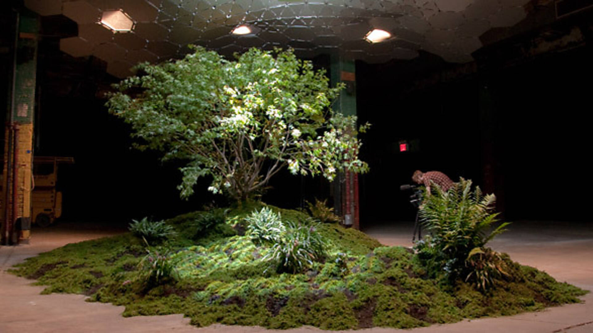"Imagining the Lowline" preview (SLIDE SHOW)