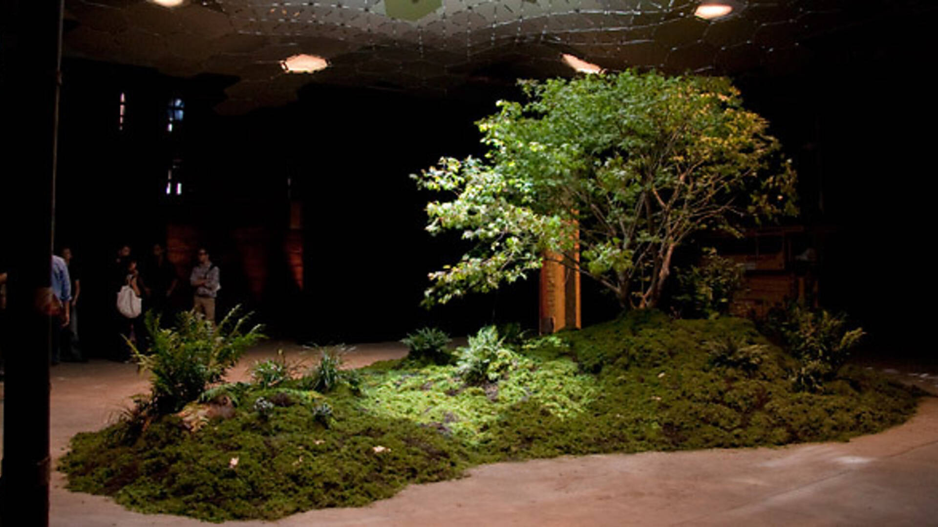 "Imagining the Lowline" preview (SLIDE SHOW)