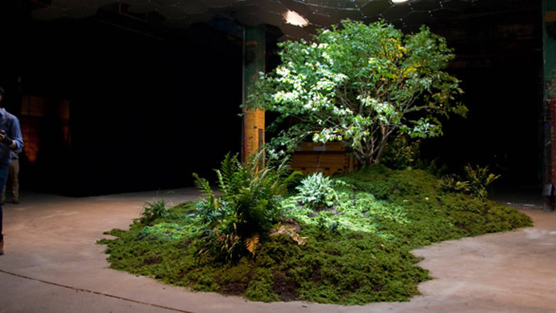 "Imagining the Lowline" preview (SLIDE SHOW)