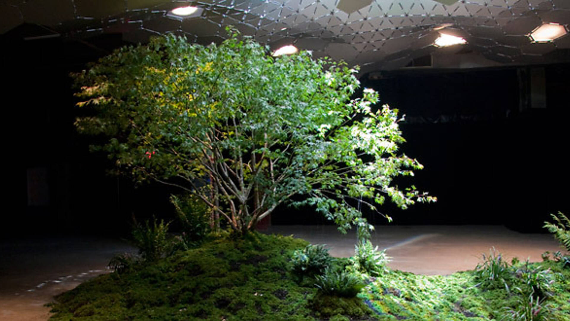 "Imagining the Lowline" preview (SLIDE SHOW)