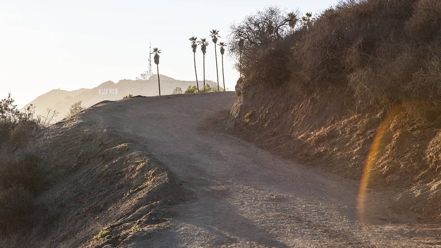 Best Bike Trails in Los Angeles for Your Next Ride