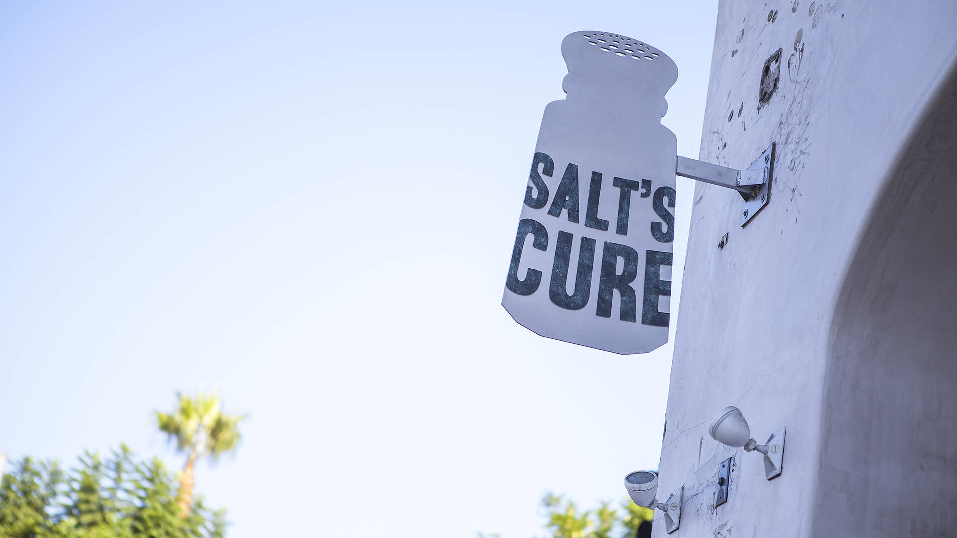 Salt's Cure | Restaurants in Hollywood, Los Angeles