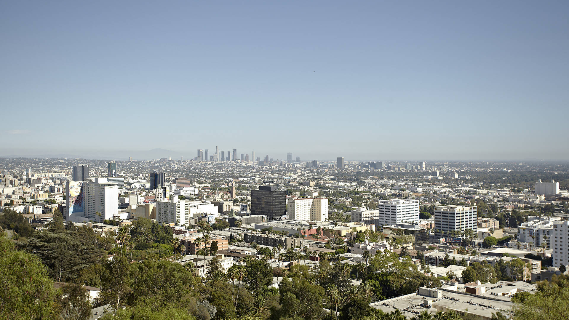 Runyon Canyon | Attractions in Hollywood, Los Angeles