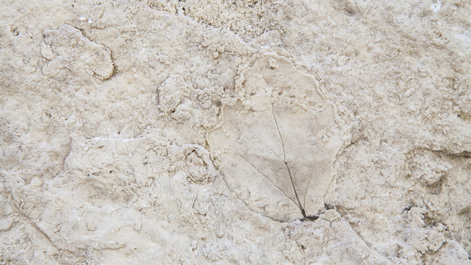 Los Angeles museums guide: The Getty Center