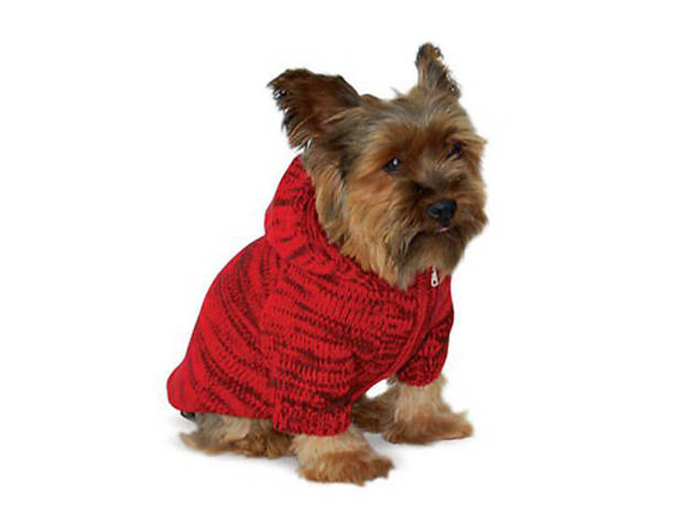 Best high-end pet boutiques in New York City