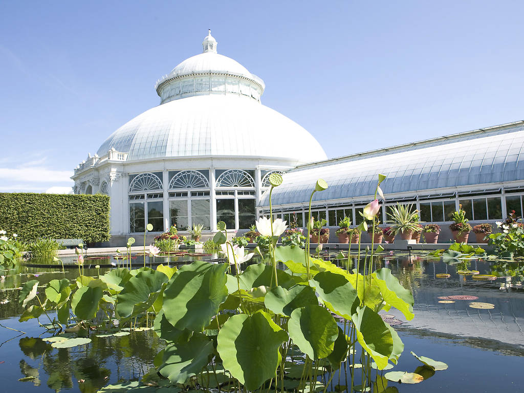 Essential Bronx, NY Borough Guide Including Things To Do