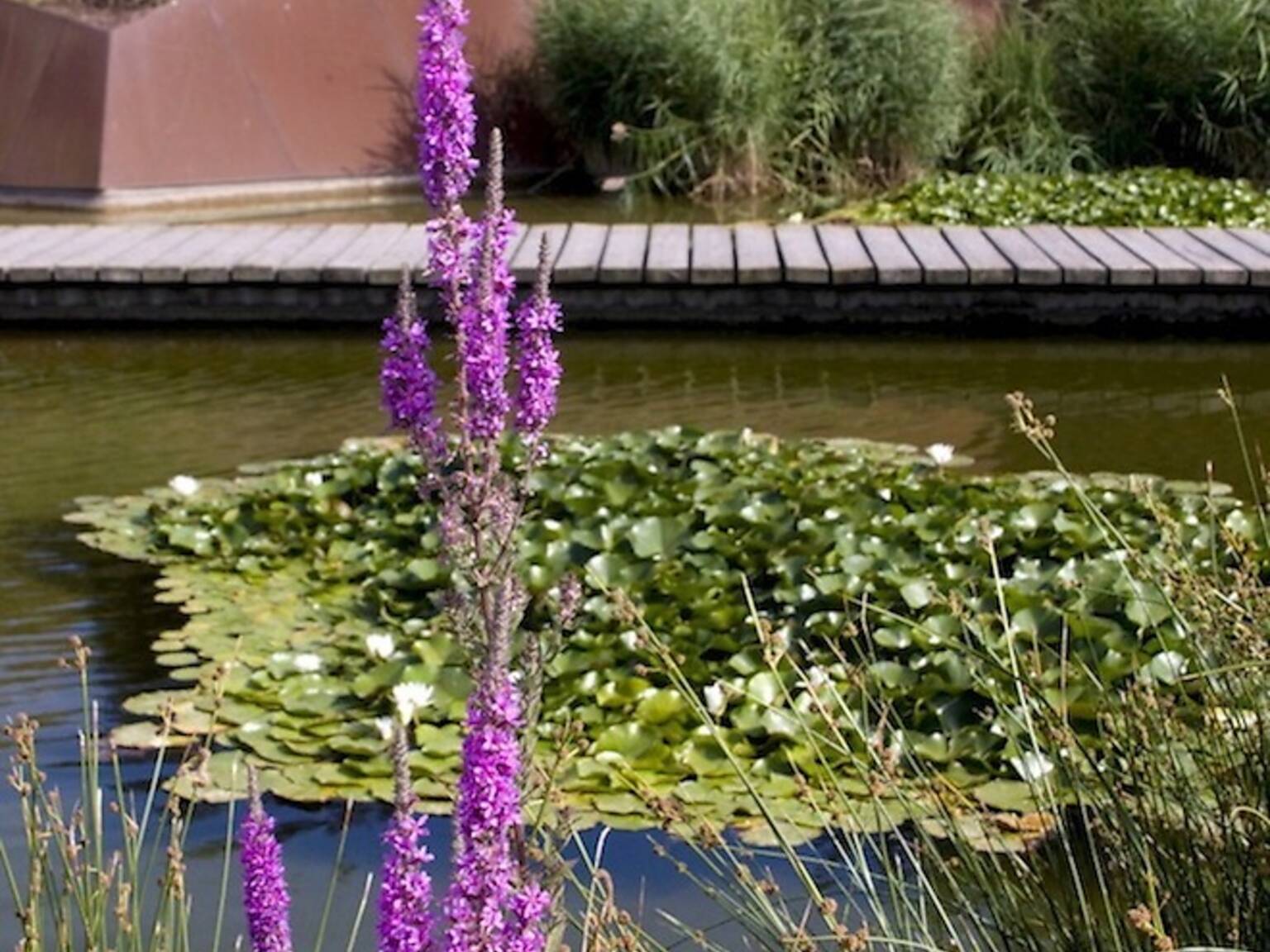 Free Museum Sundays in Barcelona: Everything You Need to Know