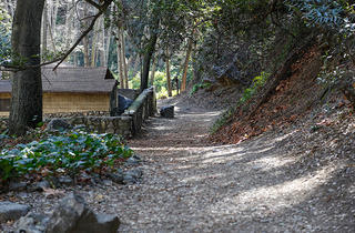 Sturtevant Falls | Things to do in Angeles National Forest, Los Angeles