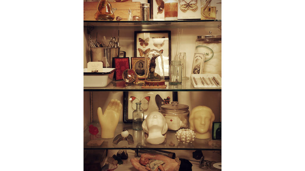 NYC's Morbid Anatomy Library has reopened at Industry City